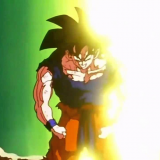 The 8 Temple Wheels of the Octagram | C.S. Joseph